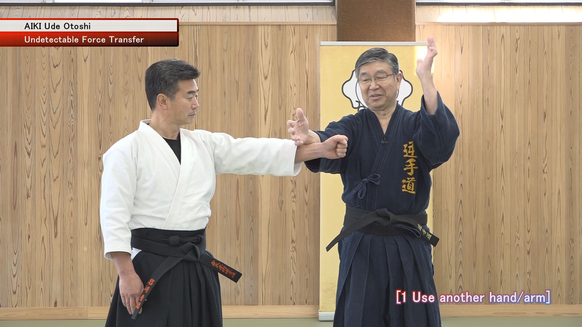 【AIKI Web Course Part 2】Lesson 3 – Explanation of Undetectable Force ...