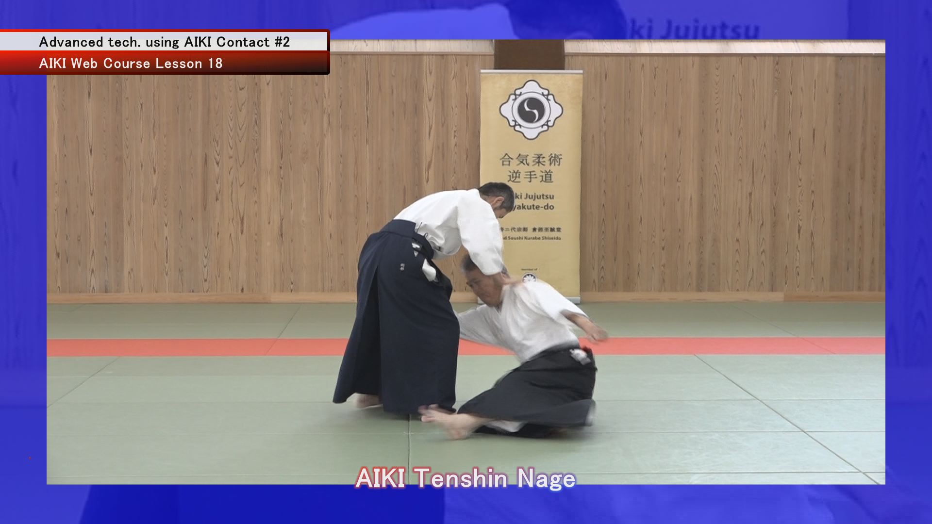 【AIKI Web Course Part 2】Lesson 18 Advanced tech. using AIKI Contact #2 ...