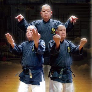 The three Sanchins: Shuri Sanchin, Naha Sanchin, and Tsuru Sanchin ...