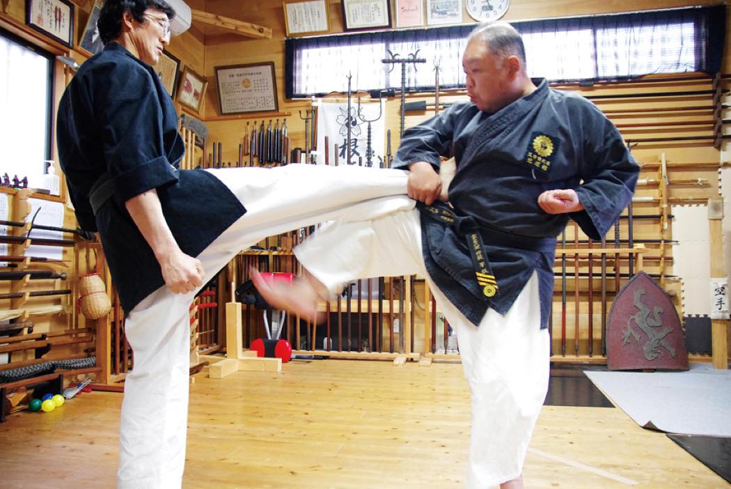 The three Sanchins: Shuri Sanchin, Naha Sanchin, and Tsuru Sanchin ...