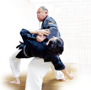 The three Sanchins: Shuri Sanchin, Naha Sanchin, and Tsuru Sanchin ...