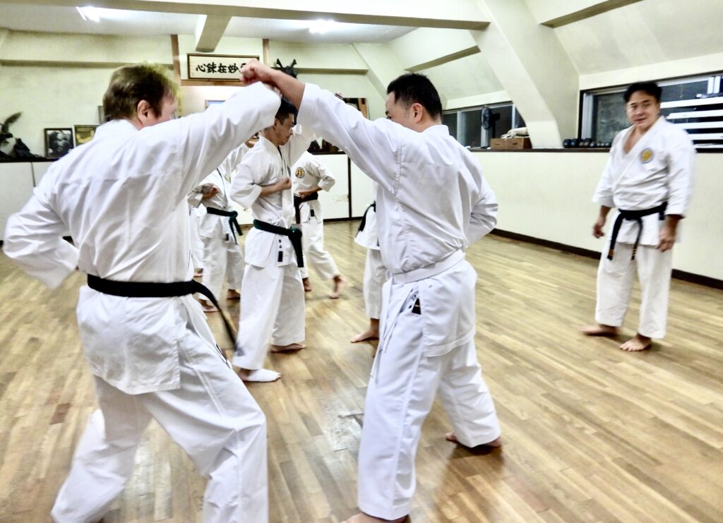 【Exploring the spirit of the Ryukyu】Series 12 (HIDEN 04/2024)「YAGI ...