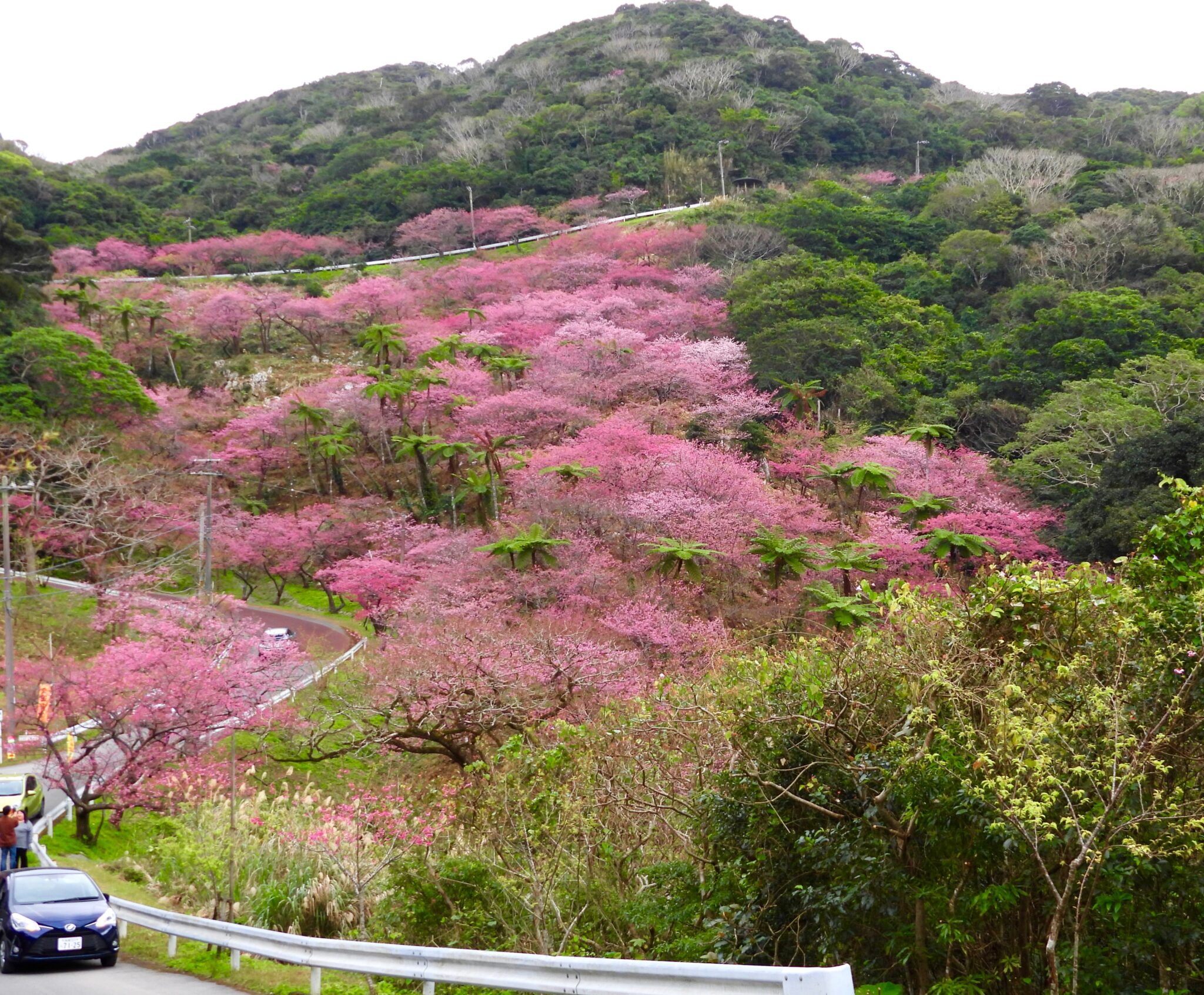 Pilgrimage to a Karate sacred place. Yaeyama, Motobu, Okinawa… | BUDO ...