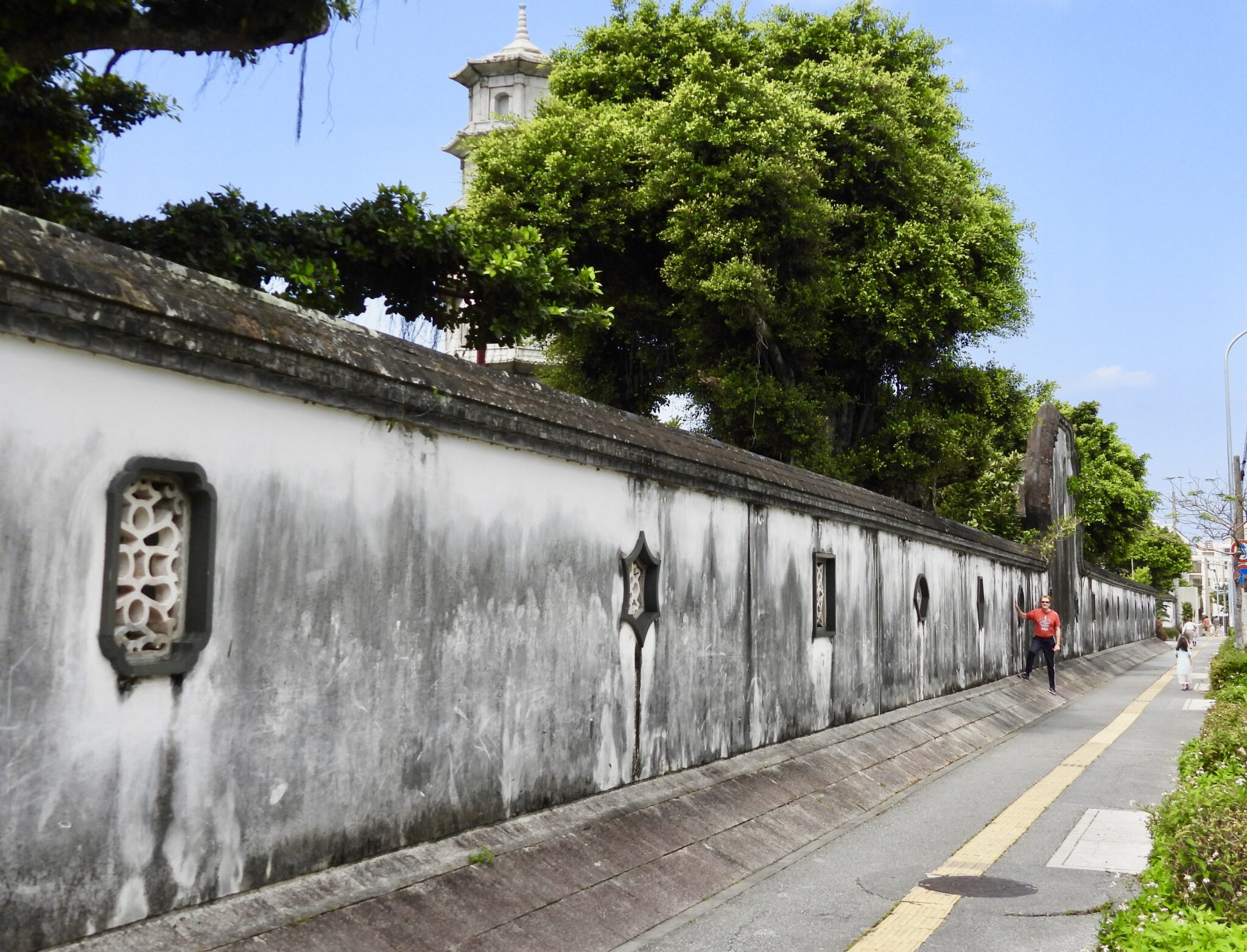 【Exploring the spirit of the Ryukyu】Series 12 (HIDEN 04/2024)「YAGI ...