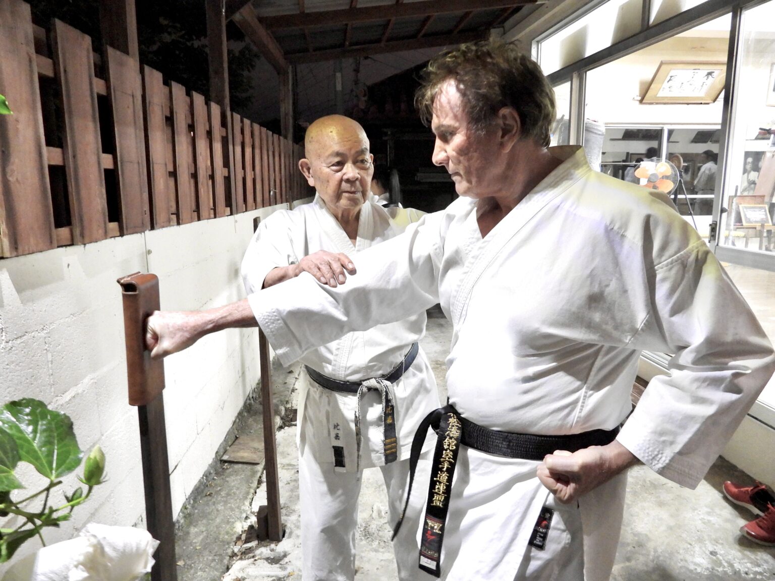 【Exploring the spirit of the Ryukyu】Series 11 (HIDEN 03/2024)「Higa ...