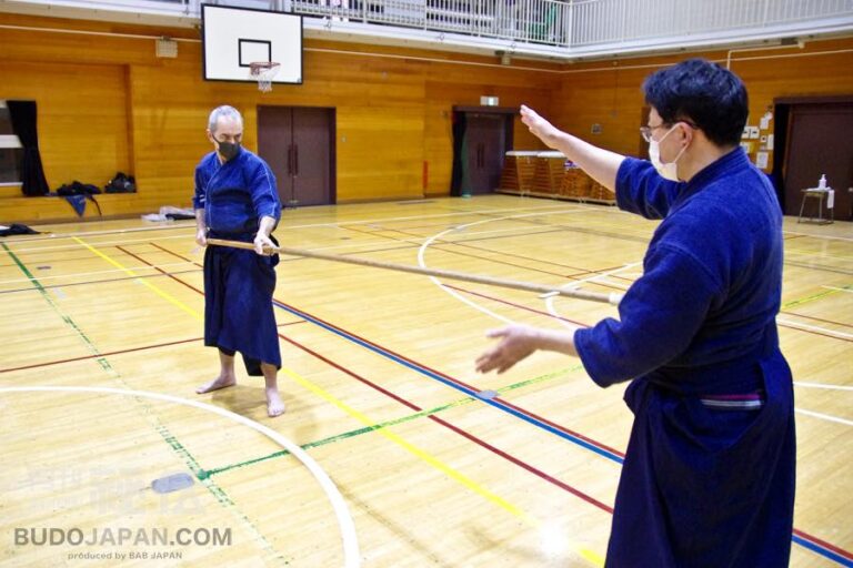 Hozoin-ryu: Thrust like a spear, sweep like a naginata, reap like a ...