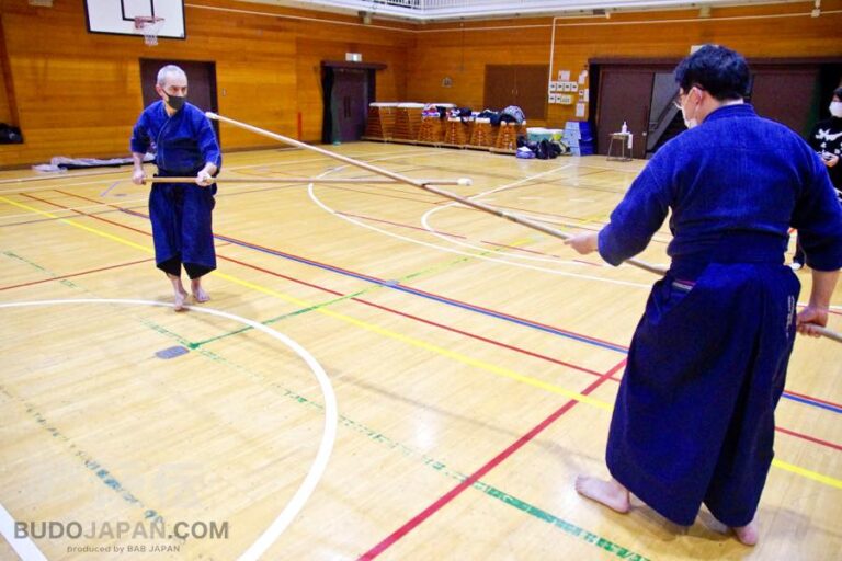 Hozoin-ryu: Thrust like a spear, sweep like a naginata, reap like a ...