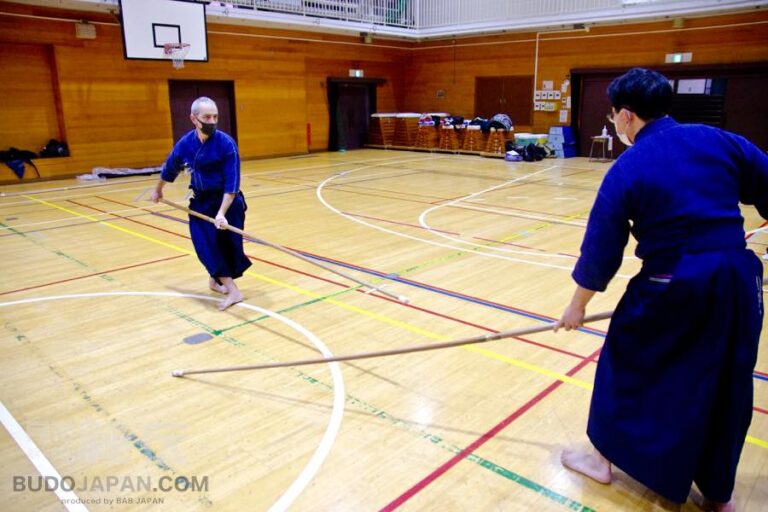 Hozoin-ryu: Thrust like a spear, sweep like a naginata, reap like a ...