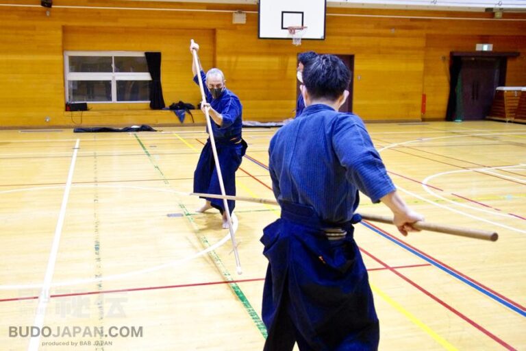 Hozoin-ryu: Thrust like a spear, sweep like a naginata, reap like a ...