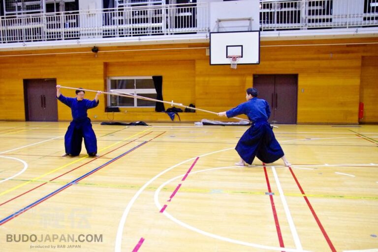 Hozoin-ryu: Thrust like a spear, sweep like a naginata, reap like a ...
