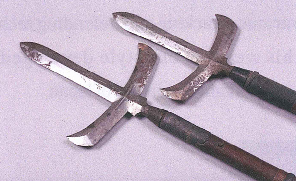 Hozoin-ryu: Thrust like a spear, sweep like a naginata, reap like a ...