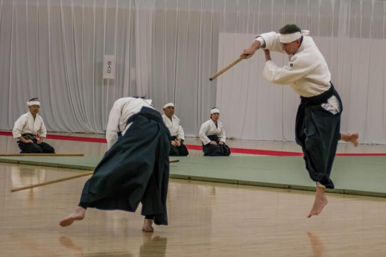 46th Nihon Kobudo Taikai Here we go again: what a difference several ...