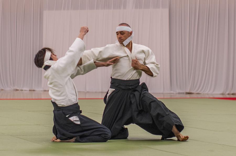 46th Nihon Kobudo Taikai Here we go again: what a difference several ...