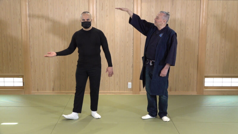How to Master the Art of SAMURAI WALK Vol.3 【Nanba Flow Movements: the ...