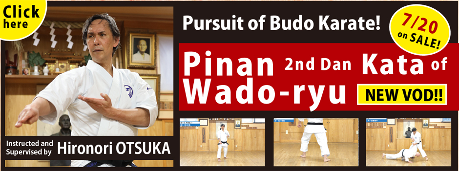 Tai Chi 99 Forms by Okabe Takehisa | BUDO JAPAN - Ttraditional Japanese ...