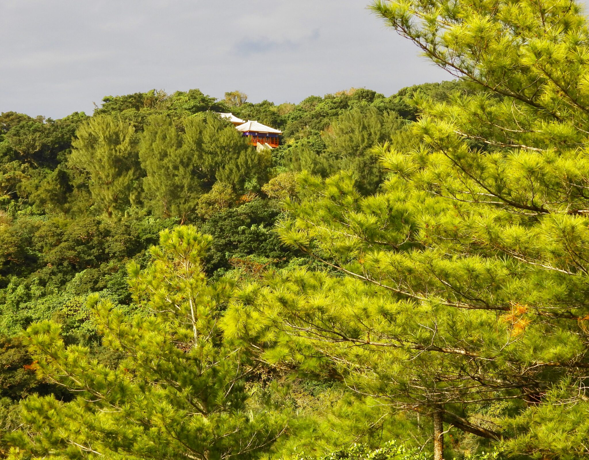 IN THE FOOTSTEPS OF FUNAKOSHI GICHIN | BUDO JAPAN - Ttraditional ...