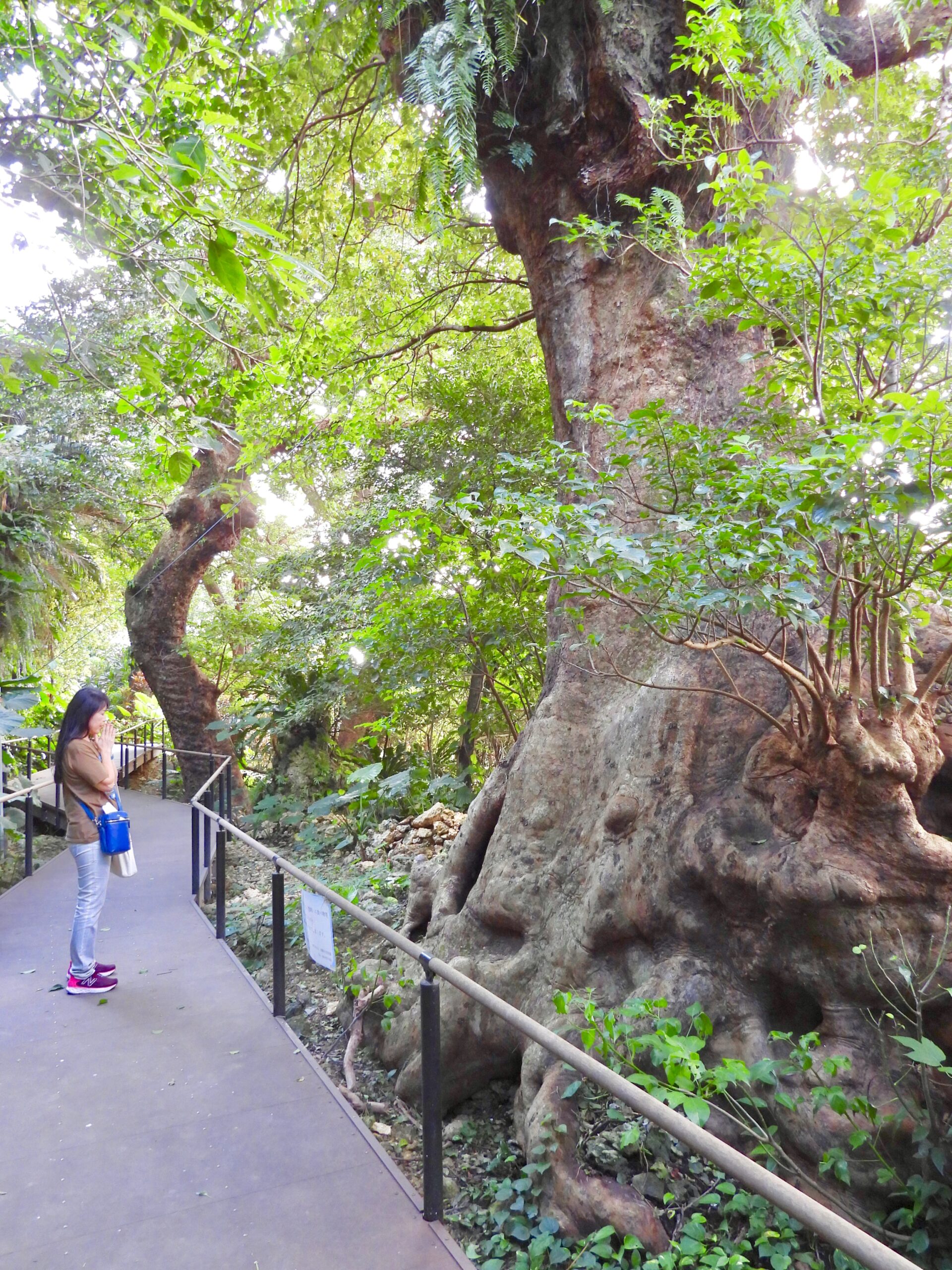 IN THE FOOTSTEPS OF FUNAKOSHI GICHIN | BUDO JAPAN - Ttraditional ...