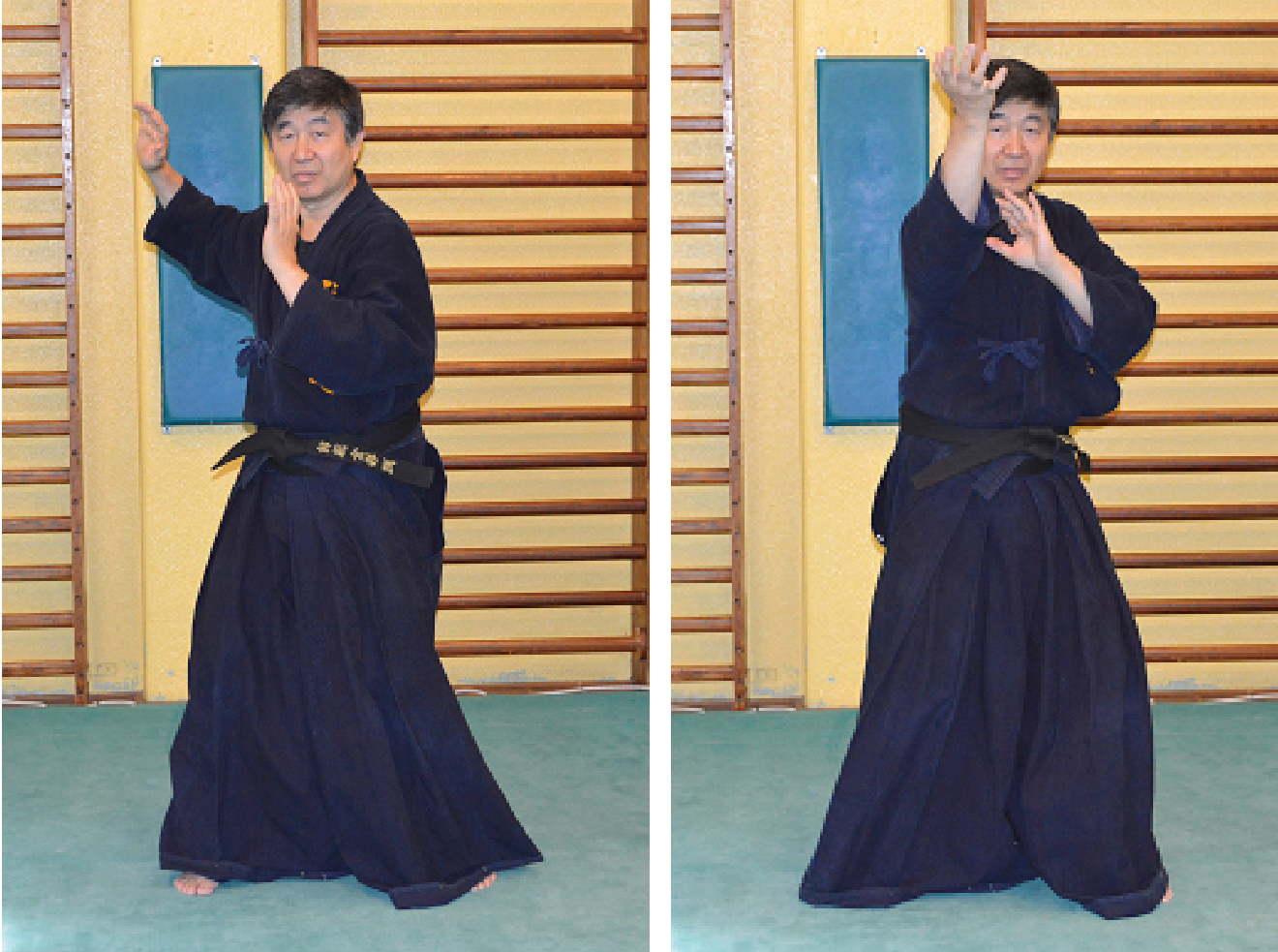 【AIKI JUJUTSU GYAKUTE-DO Series No.1】About GYAKUTE-DO and the digest of ...