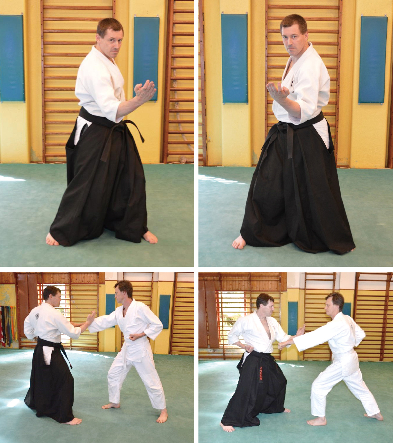 【AIKI JUJUTSU GYAKUTE-DO Series No.1】About GYAKUTE-DO and the digest of ...