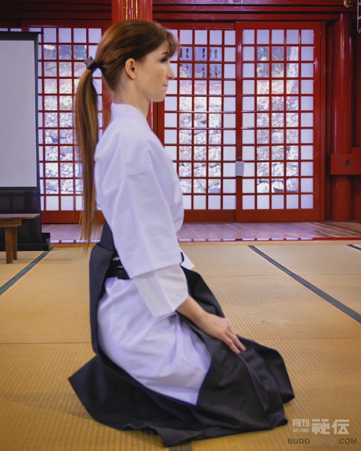 Shogun and Samurai Etiquette: Ogasawara ryu Reiho | BUDO JAPAN ...